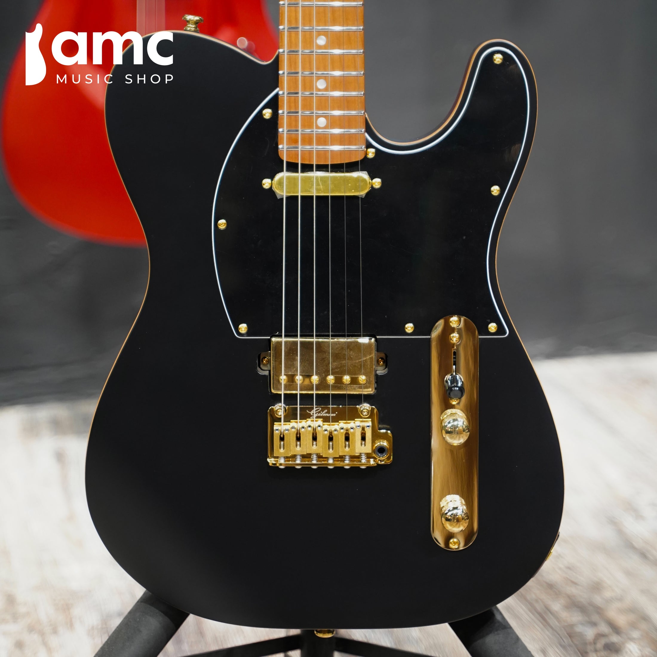 Gilmour Guitars – amc music shop